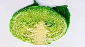 Divulging the Spiritual Meaning & Symbolism of Cabbage - Meanings In Life