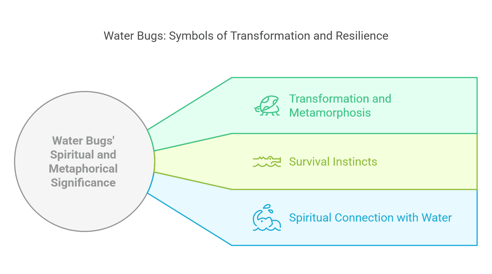 From Ripples to Revelation: Uncovering the Spiritual Secrets of Water Bugs